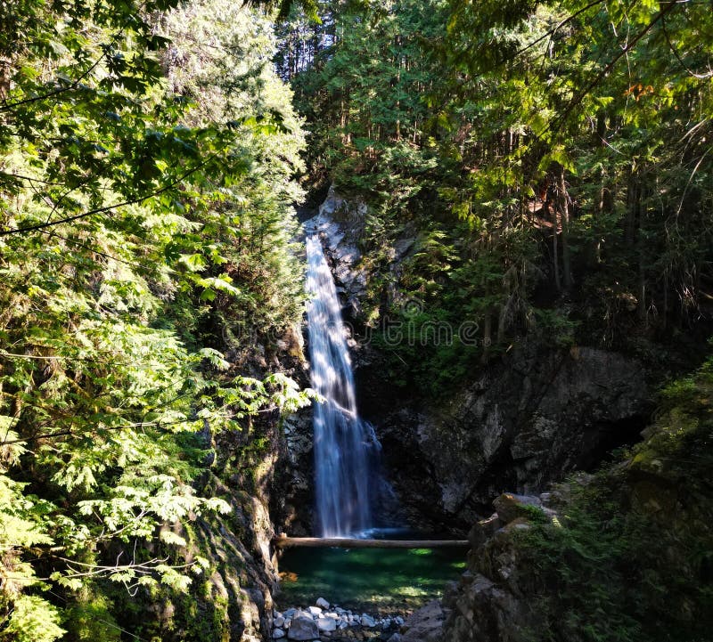 Beautiful View of a Waterfall Flowing into River in a Forest Stock ...
