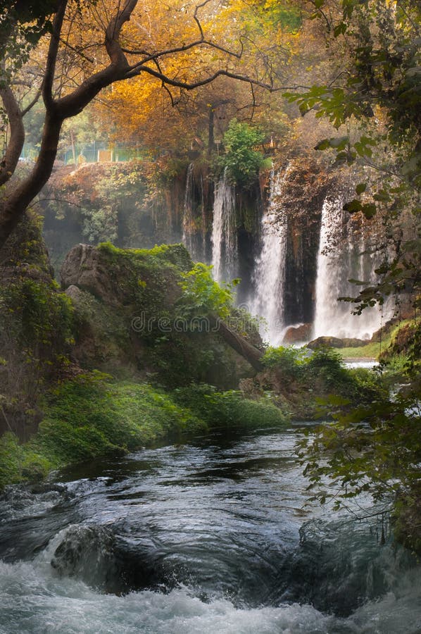 Beautiful View with the Waterfall in the Forest Stock Photo - Image of ...