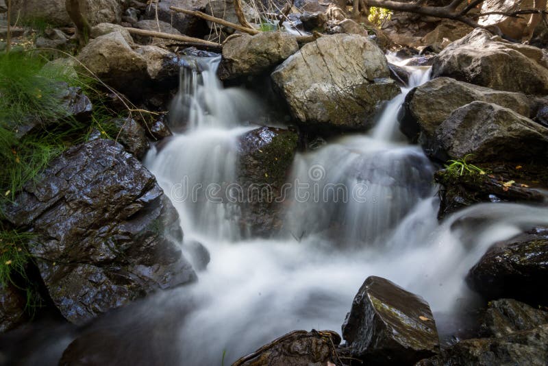 Beautiful View of the Waterfall in the Forest Surrounded by Trees and ...