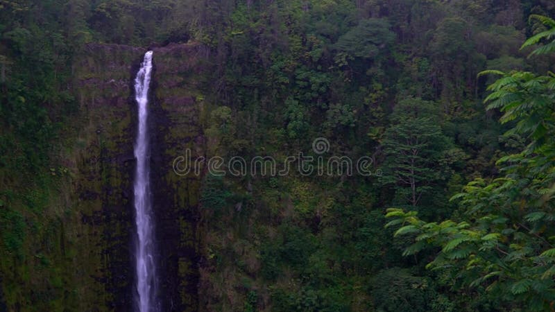 Beautiful View of a Waterfall in Hilo Hawaii Stock Footage - Video of ...