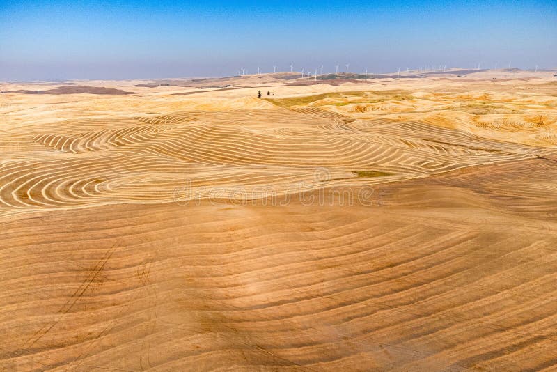 Beautiful View of a Wheat Field with a Rolling Hill Pattern Stock Image ...