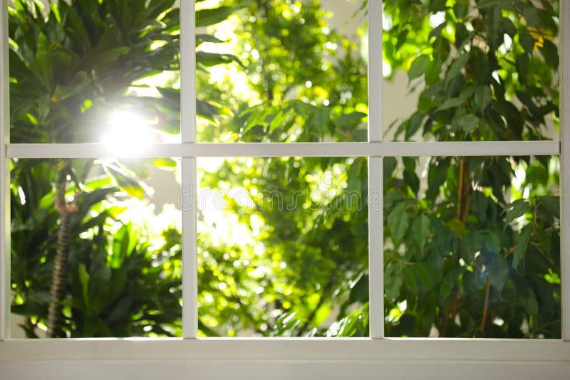 Beautiful View through Window on Garden Stock Image - Image of wooden ...