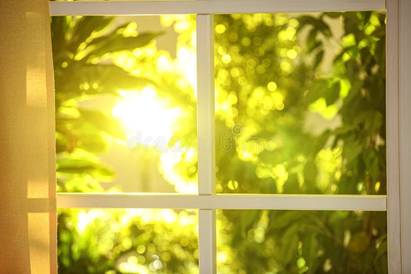 Beautiful View through Window on Garden Stock Photo - Image of view ...