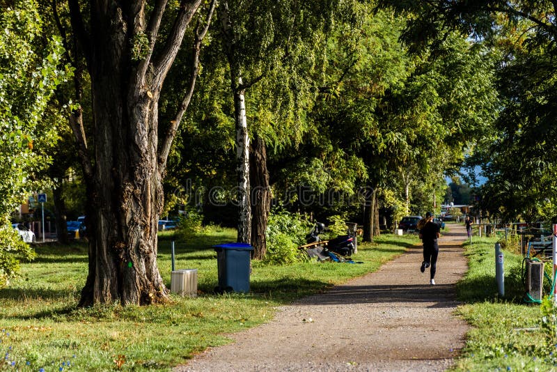 Beautiful View of a Woman Jogging on a Pathway in the Park. Stock Image ...