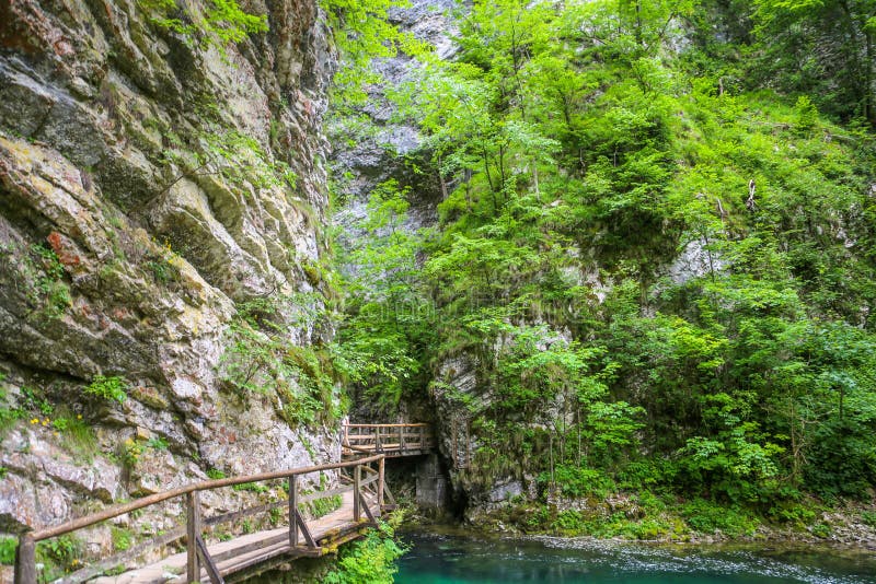 Beautiful View of a Wooden Boardwalk on the Rock Side with Green Trees ...