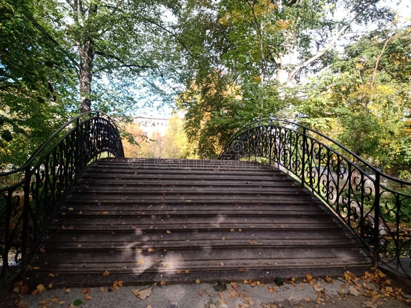 Beautiful View of a Wooden Stair Bridge Under Trees Stock Photo - Image ...