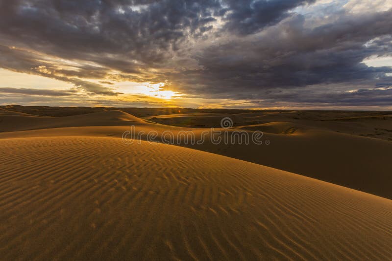 Beautiful Views of the Desert Landscape. Gobi Desert Stock Photo ...