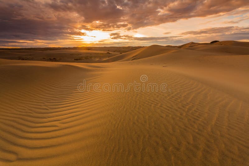 Beautiful Views of the Desert Landscape. Gobi Desert Stock Photo ...