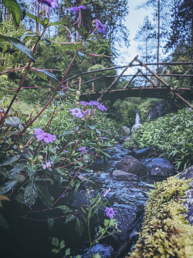 Beautiful Views and a River that Flows so Calmly Stock Photo - Image of ...