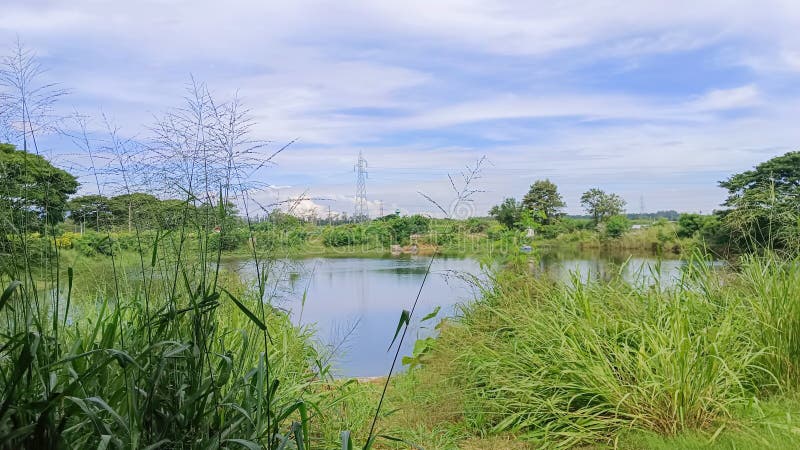 Beautiful Views of the River and Forest in Nature Stock Image - Image ...