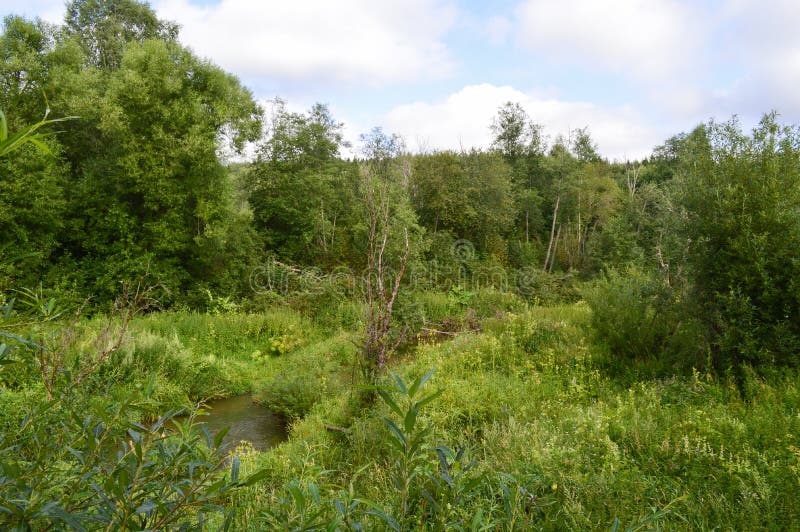 Beautiful Views of the River Stock Photo - Image of mill, crossing ...
