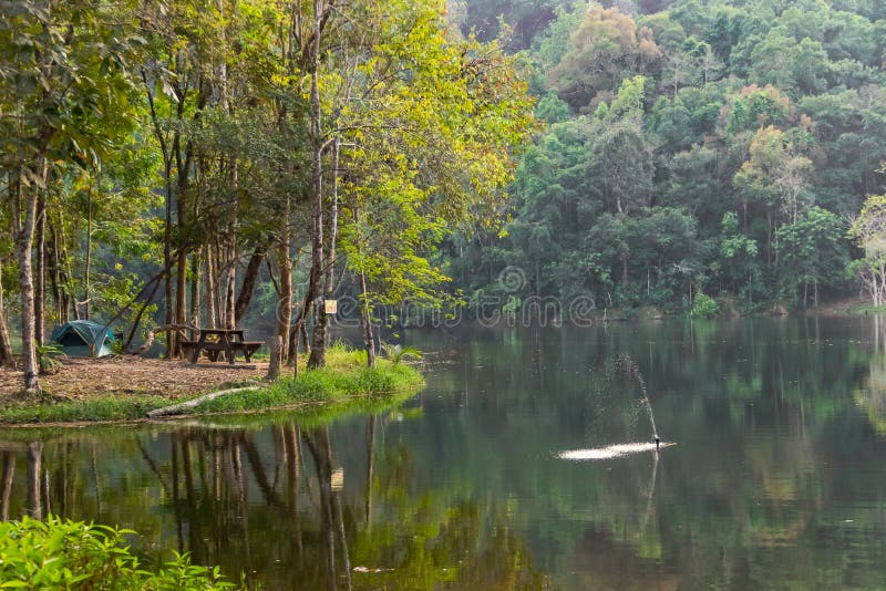Beautiful Views of Rivers and Forests Stock Photo - Image of blue ...