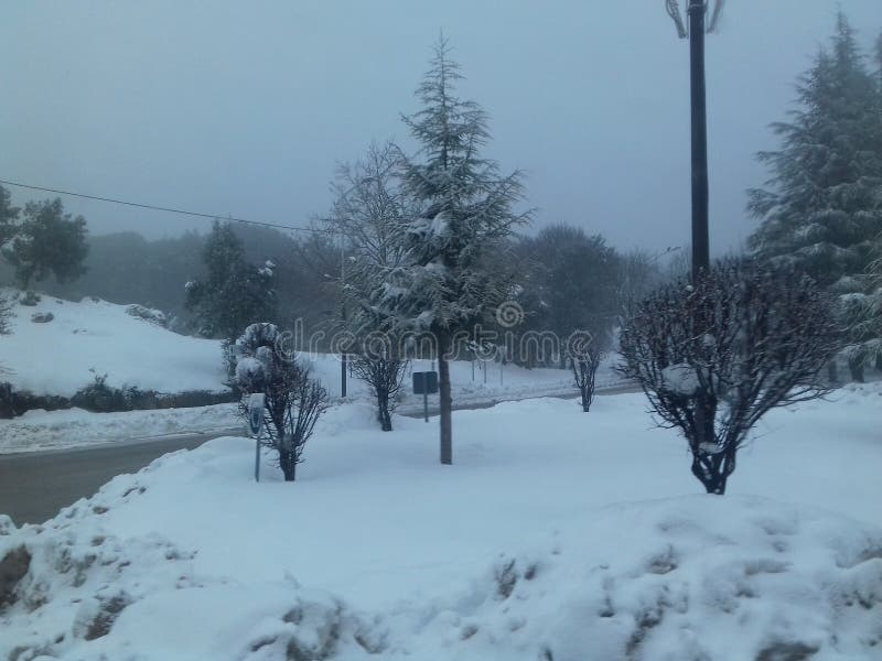 Snow stock photo. Image of beautiful, ifrane, snow, morocco - 110647580