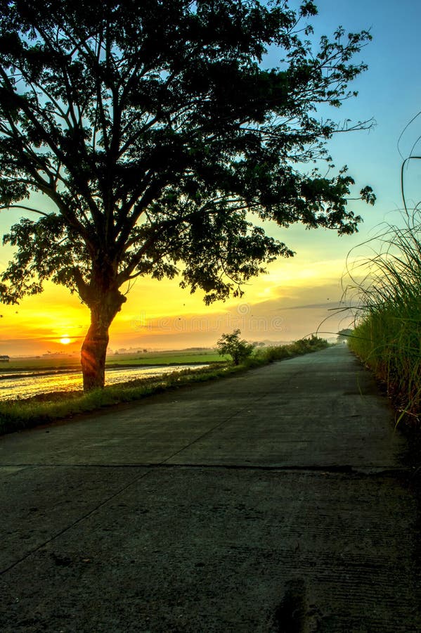 Tree and Sunset Beautiful Landscape Stock Photo - Image of scenic, blue ...