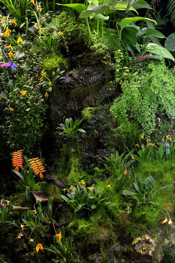 Beautiful Views of the Typical Tropical Landscape Stock Image - Image ...