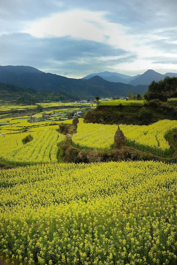The Beautiful Village of China Stock Photo - Image of village, spring ...