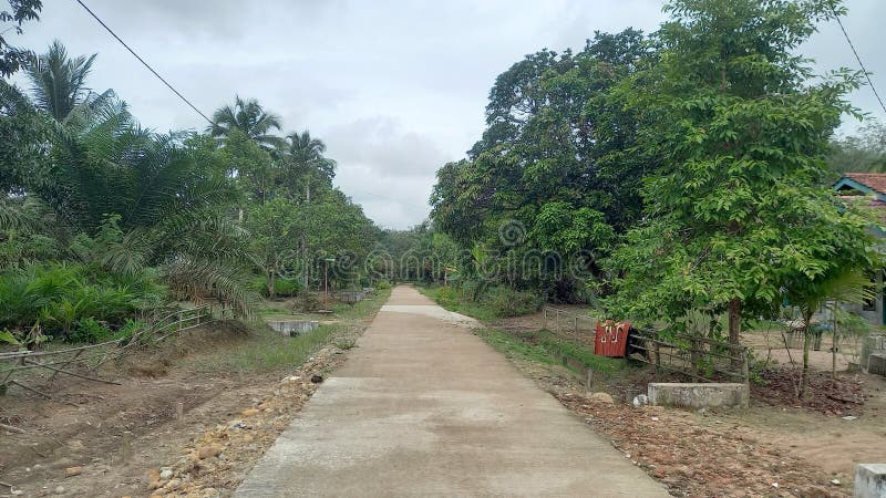 Beautiful village road stock image. Image of enjoy, village - 205672263