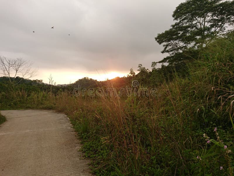 Beautiful Village Southern Sri Lankan Stock Image - Image of southern ...