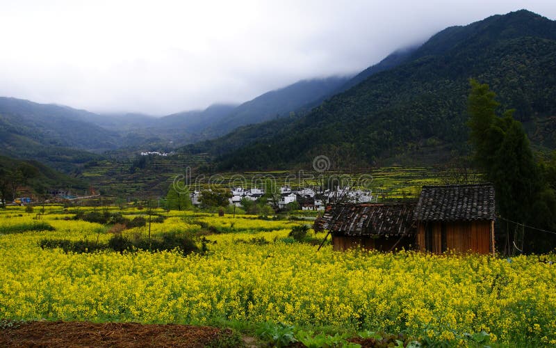 Beautiful Village of Wuyuan Stock Photo - Image of spring, jiangxi: 9186892