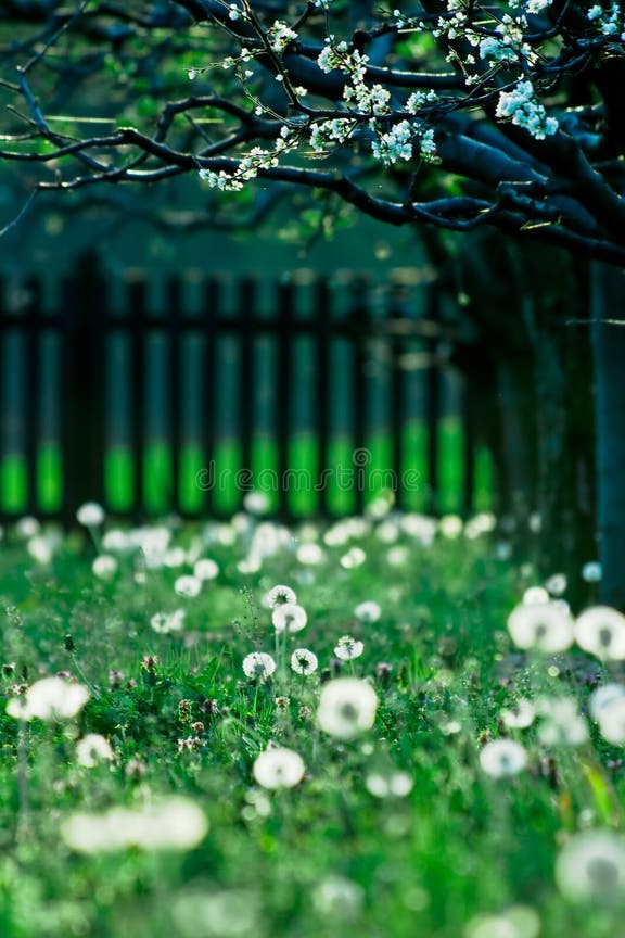 Beautiful Vintage Spring Time Scene Stock Image - Image of meadow ...