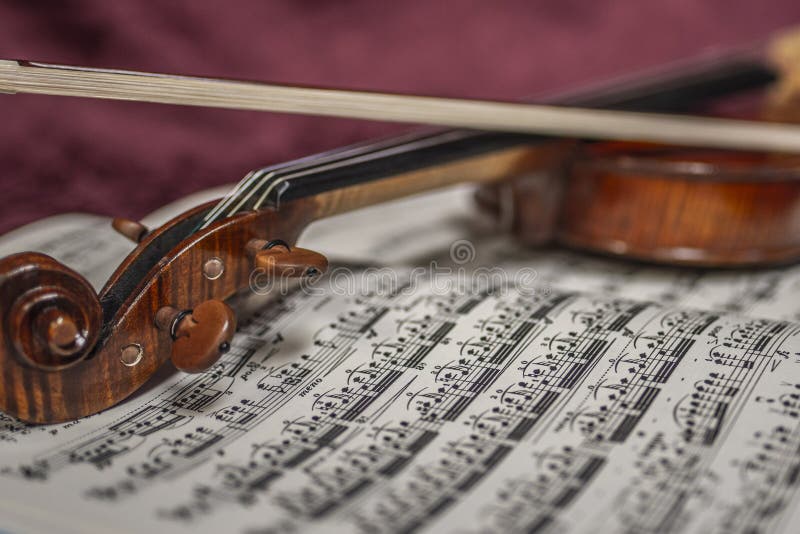 Beautiful Closeup Shot of a Classic Violin, with Its Wooden Body and ...