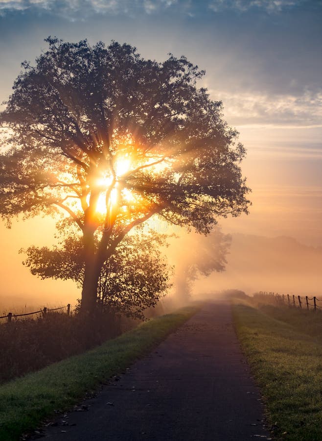Beautiful Walk Path in Misty Sunrise Light Stock Photo - Image of park ...