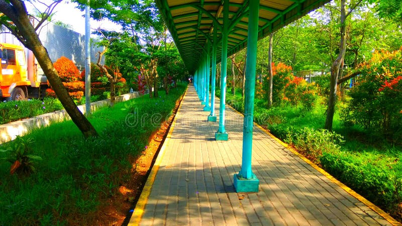 Beautiful Walking Path with Green Stock Photo - Image of walkway, tree ...