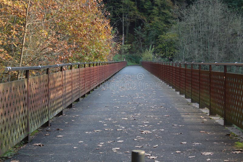 Beautiful Walking Path Inside the Forest Stock Photo - Image of beauity ...