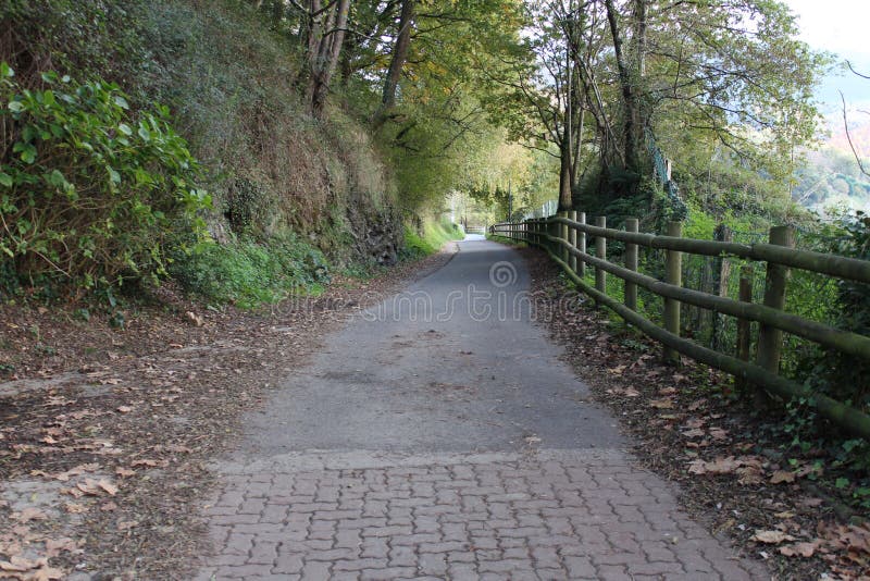 Beautiful Walking Path Inside the Forest Stock Photo - Image of beauity ...