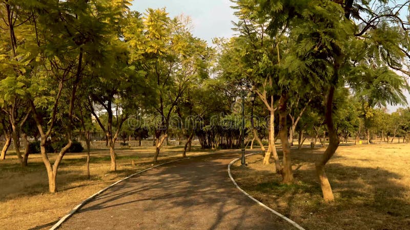 Walking Path Under Green Trees Stock Video - Video of walking, green ...