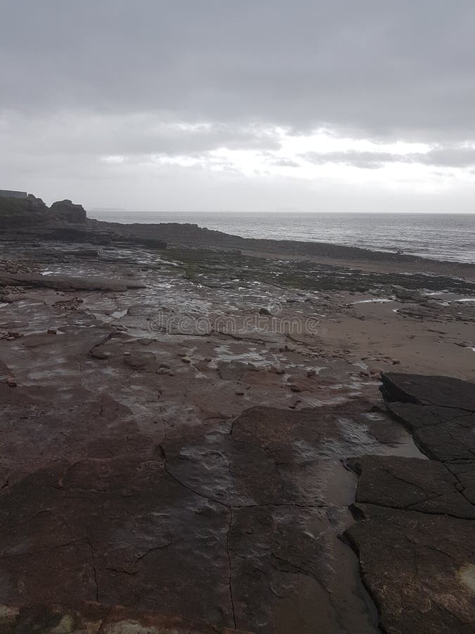 Bendricks stock image. Image of back, local, beautiful - 114690365