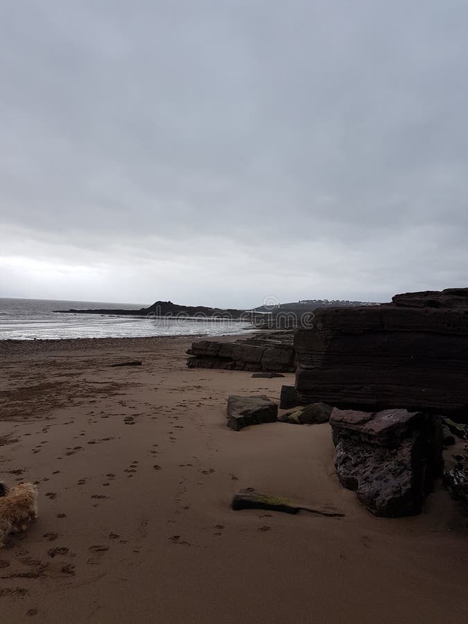 Bendricks stock image. Image of walks, like, local, time - 114690417