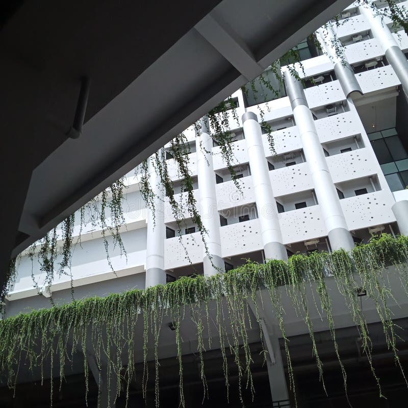 Beautiful Walls of the Apartment - Part 3 Stock Image - Image of ...