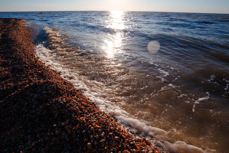 Beautiful Warm Sunset Light Over Shell Beach Stock Photo - Image of ...
