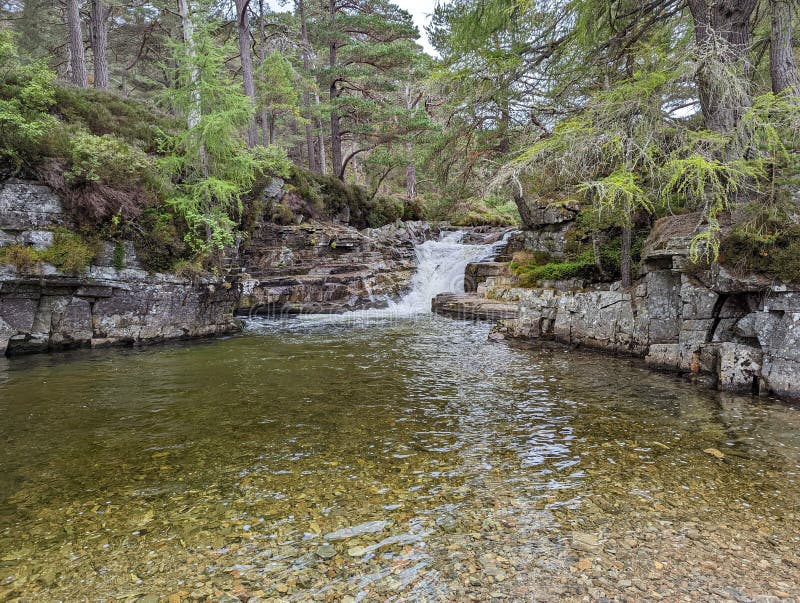 Beautiful Water Cascade Falling into a Pond with Trees in the ...