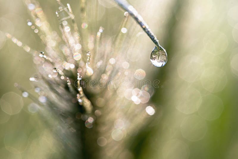 Beautiful Water Drop with Reflections in the Sun Stock Image - Image of ...