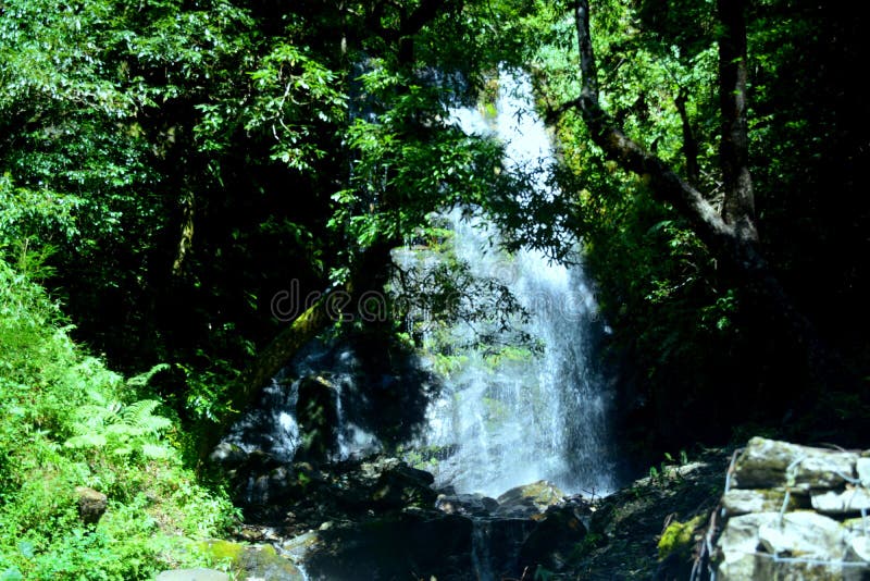 Naturalfeel Stock Photos - Free & Royalty-Free Stock Photos from Dreamstime