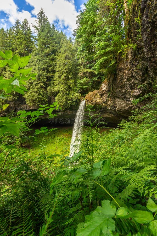 Beautiful Water Fall stock image. Image of fall, relax - 74953077