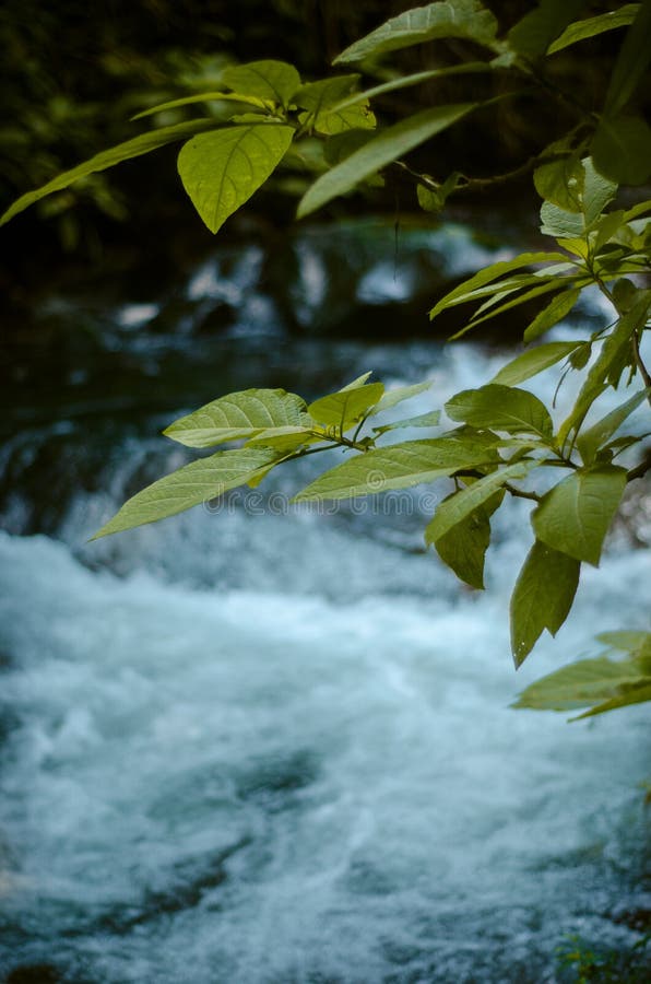 Water flow stock photo. Image of nature, foreground, journey - 99275786