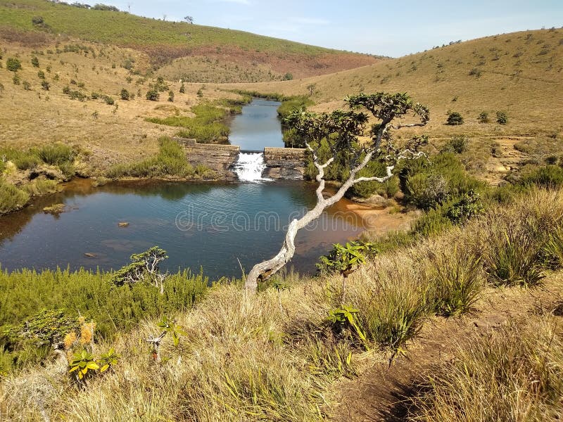 Beautiful Water Flowing in a Field Stock Image - Image of lanka, gourd ...