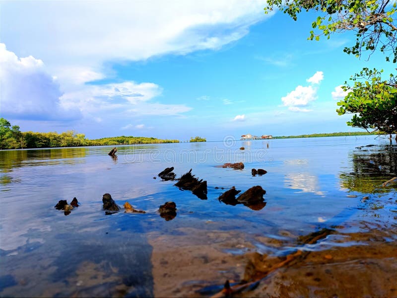 Beautiful Water Reflection Do the Afternoon Stock Photo - Image of ...