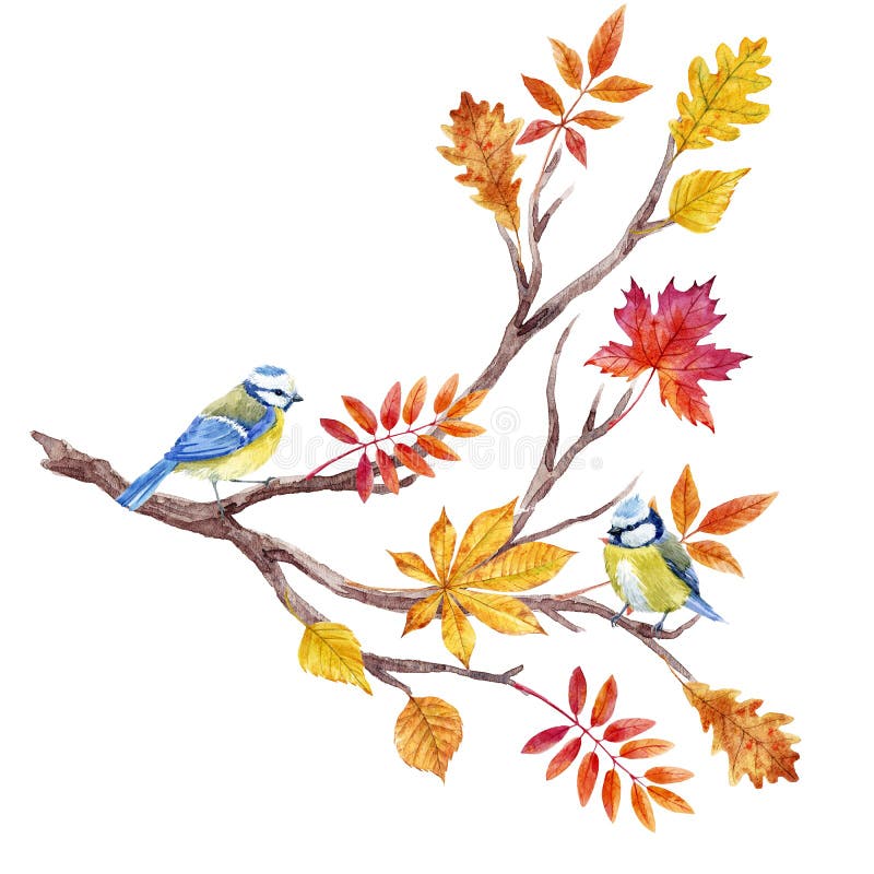 Watercolor Fall Tree Branch Stock Illustration - Illustration of bloom ...