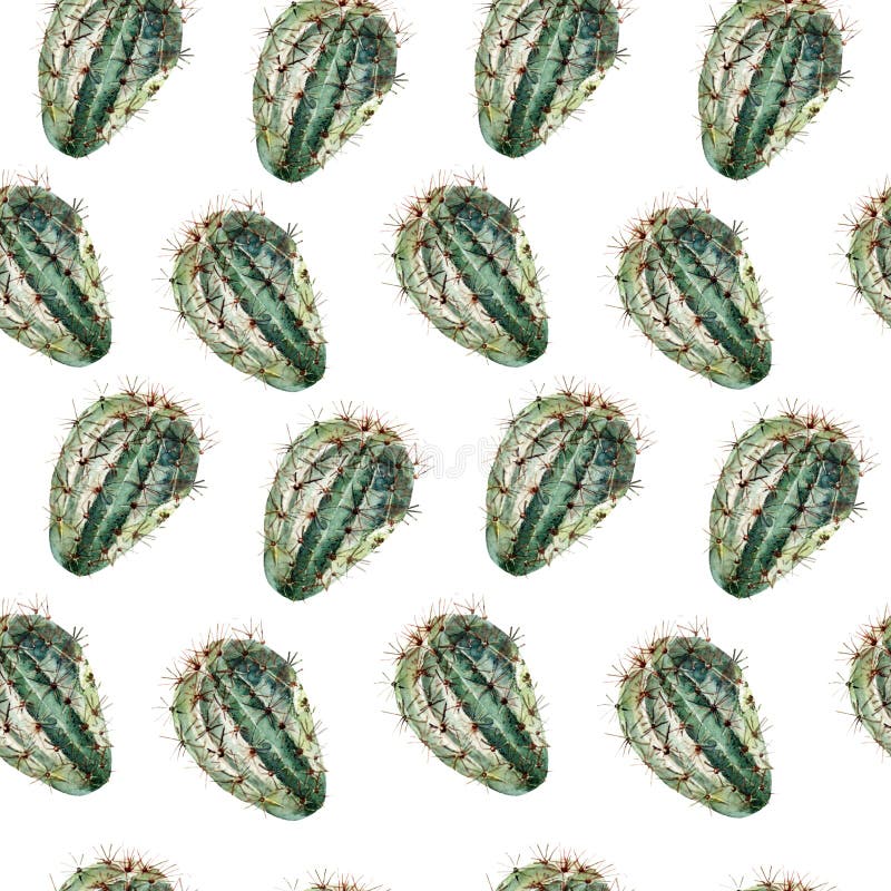Beautiful Watercolor Pattern with Cactus. Stock Illustration ...