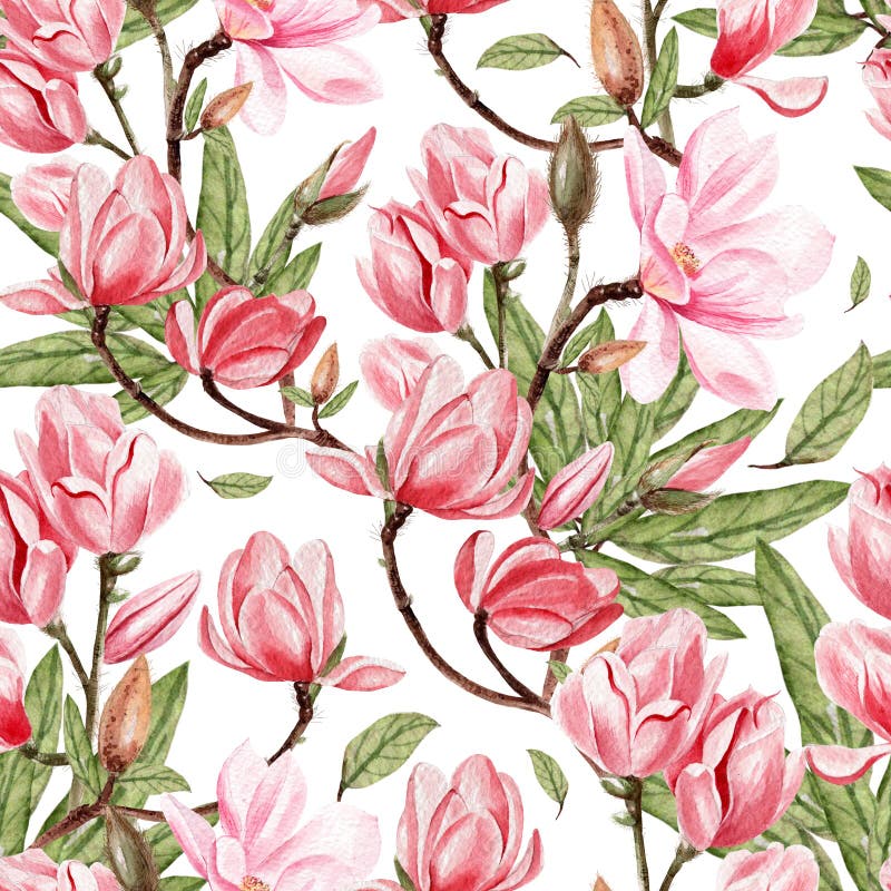 Beautiful Watercolor Pattern with Flowers Magnolia . Stock Illustration ...