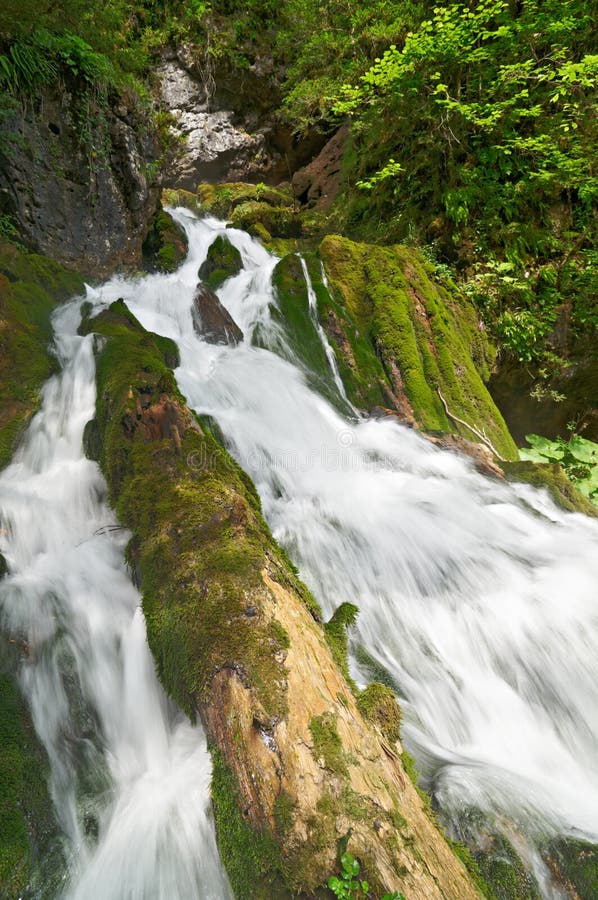 Beautiful waterfall stock photo. Image of beautiful, green - 13851504