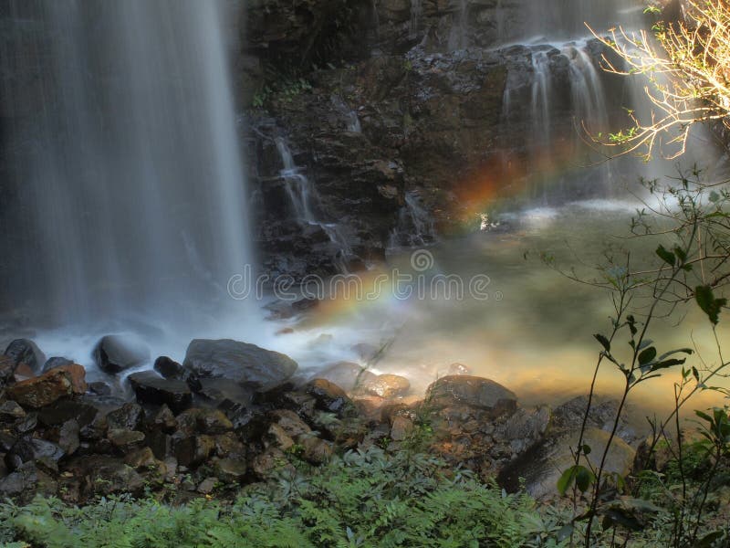 Beautiful waterfall stock photo. Image of jungle, flowing - 142757968