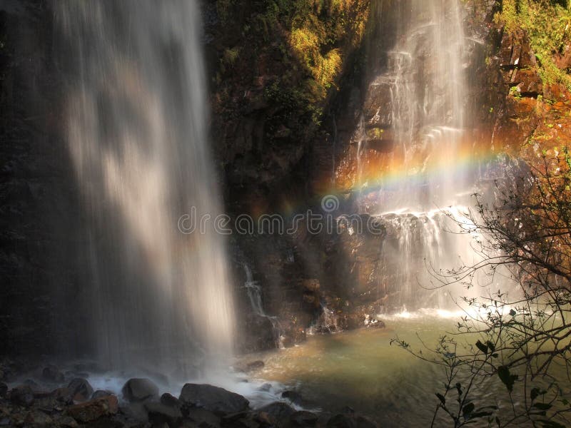 Beautiful waterfall stock image. Image of flower, rock - 142757991