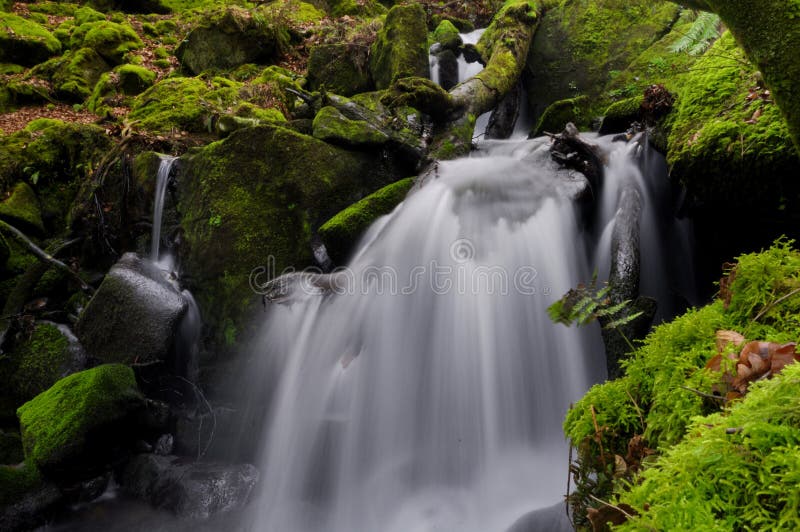 River Severn Waterfall in Wales, Powys. Locally Known As River Severn ...