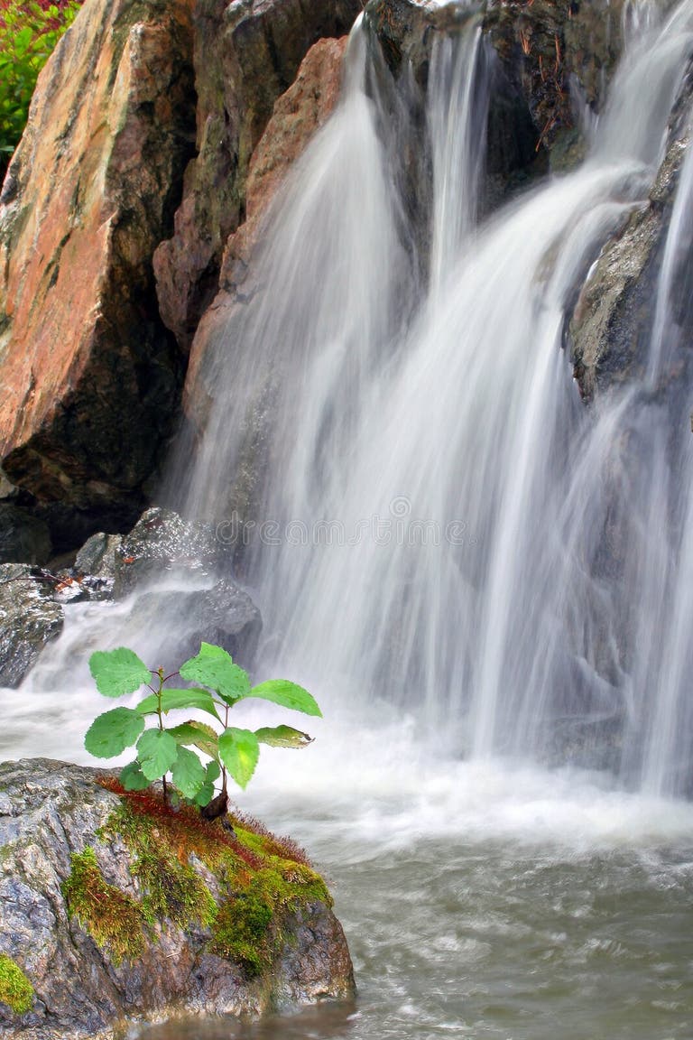 149,786 Beautiful Flow Waterfall Stock Photos - Free & Royalty-Free ...