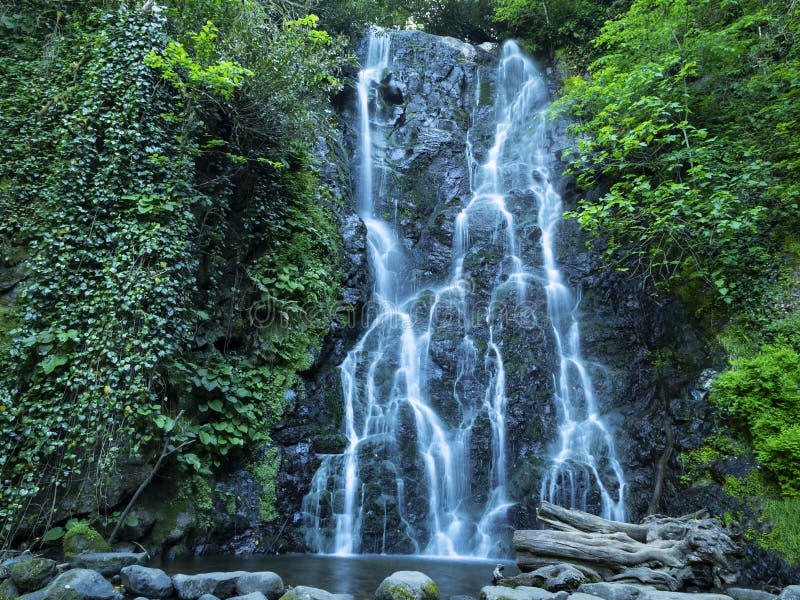 Beautiful Waterfall Amidst Mesmerizing Greenery is Located Georgia ...